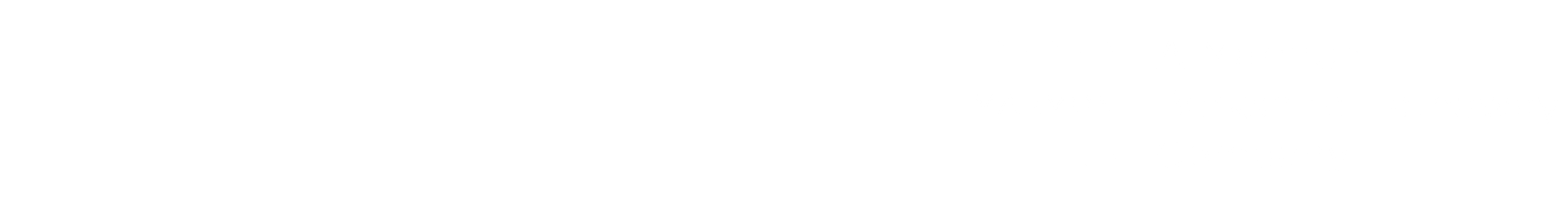 Novi+ Patch Holter Monitor | ScottCare